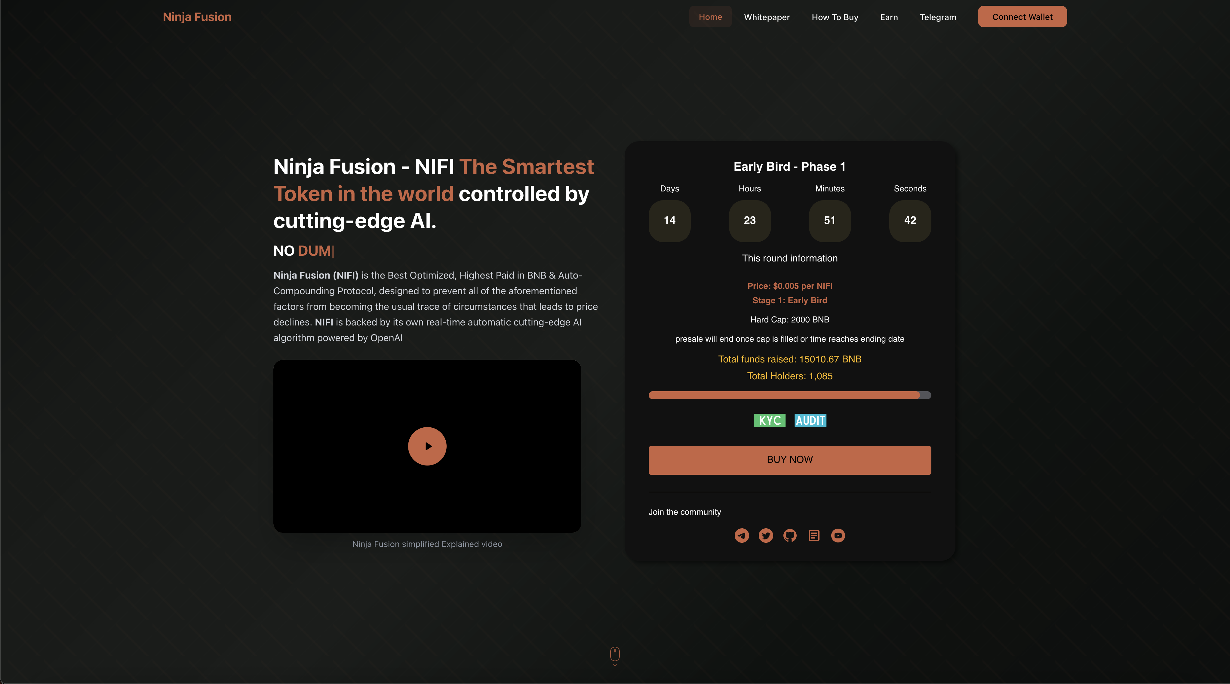 Ninja Fusion - NIFI | The Smartest Token controlled by IBM MoLM